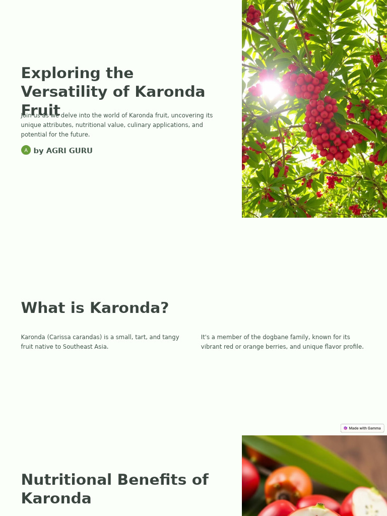 Health Benefits and Uses of Karonda Fruit | PDF | Fruit Preserves ...