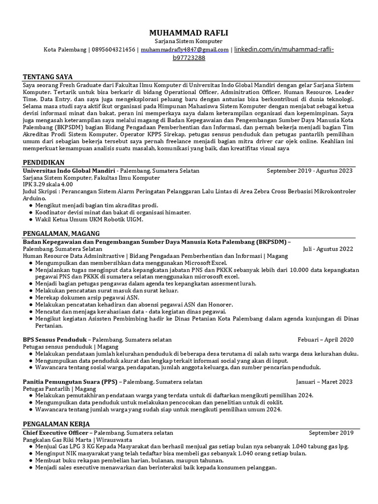 CV_Muhammad Rafli | PDF