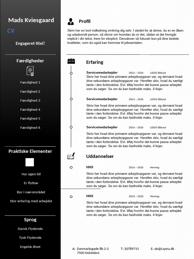 CV1 Simpel Sort Hvid | PDF