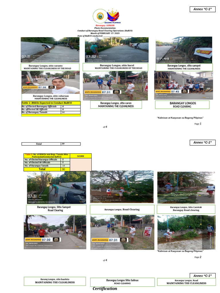Road Clearing Annex c1 | PDF