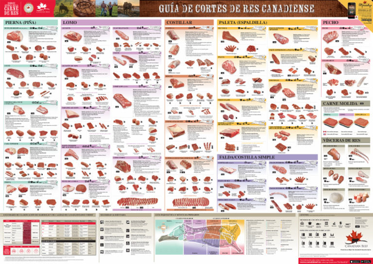 Carnes Poster Spanish | PDF
