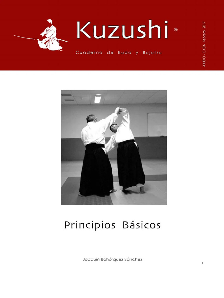 principios-basicos | PDF