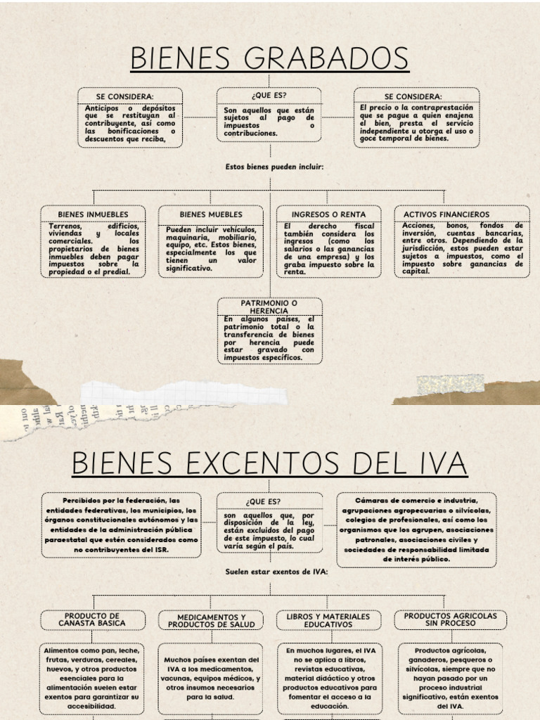 Bienes Gravados y Exentos Del Iva | PDF | Impuestos | Impuesto al valor ...