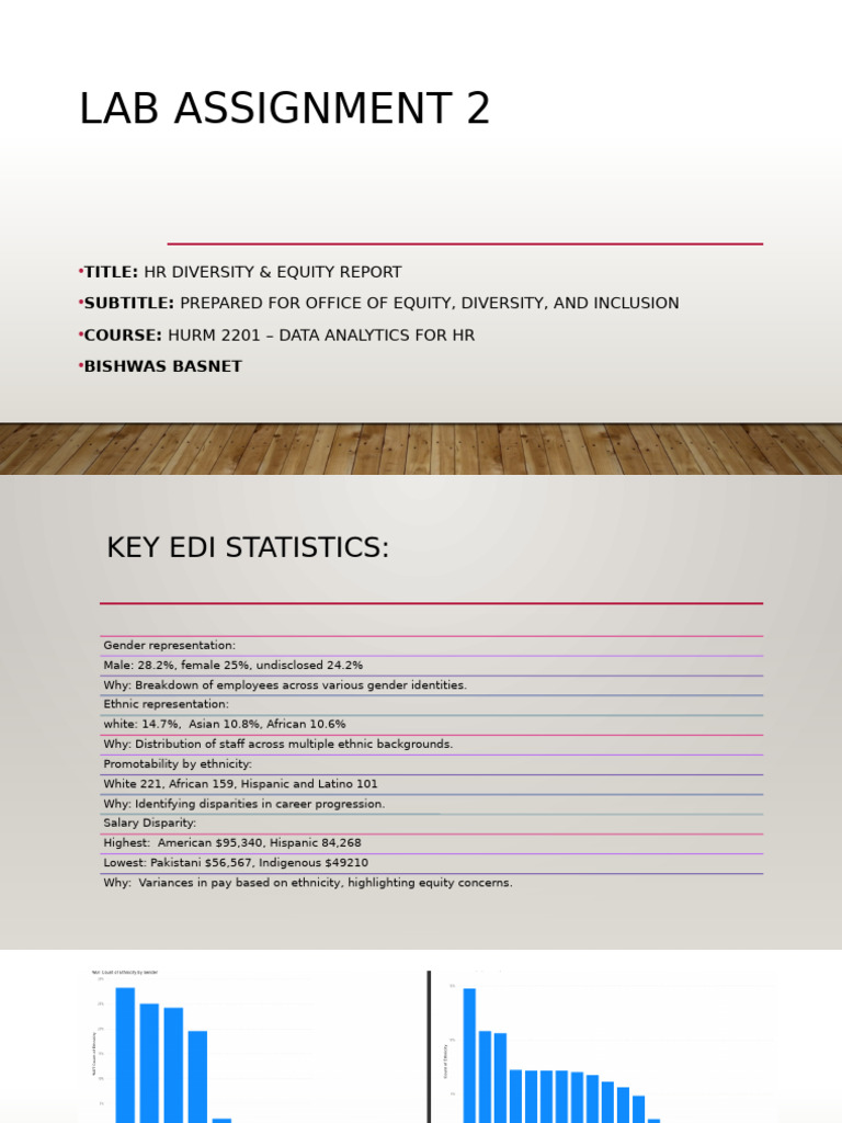HR Diversity & Equity Insights Report | PDF
