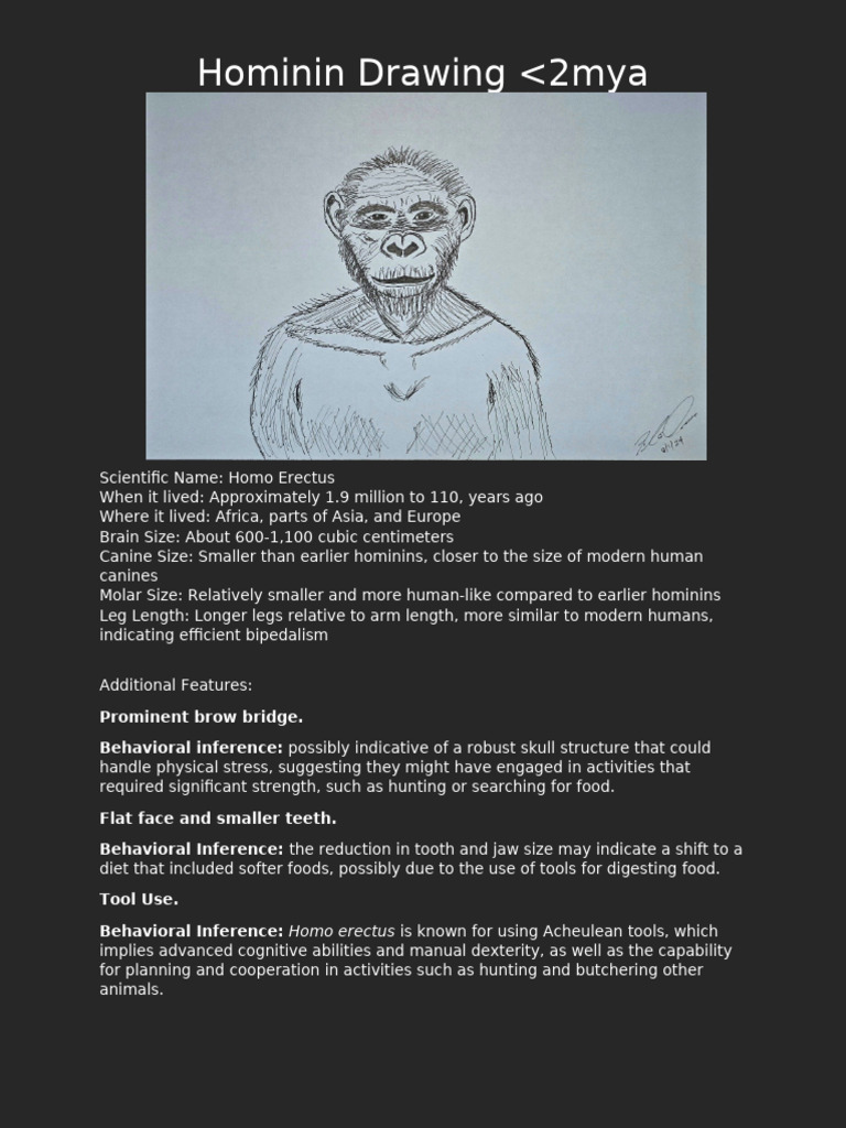 Hominin 2mya | PDF