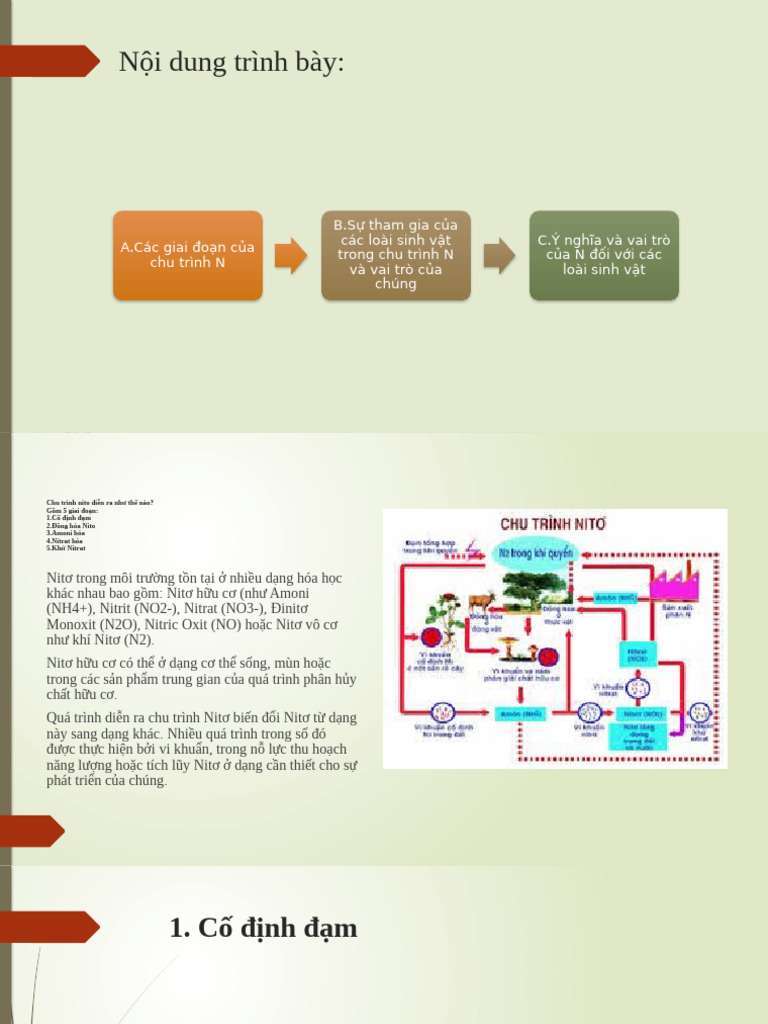 BT1-Lưu Quốc Khánh 69MSE2-0488169 | PDF