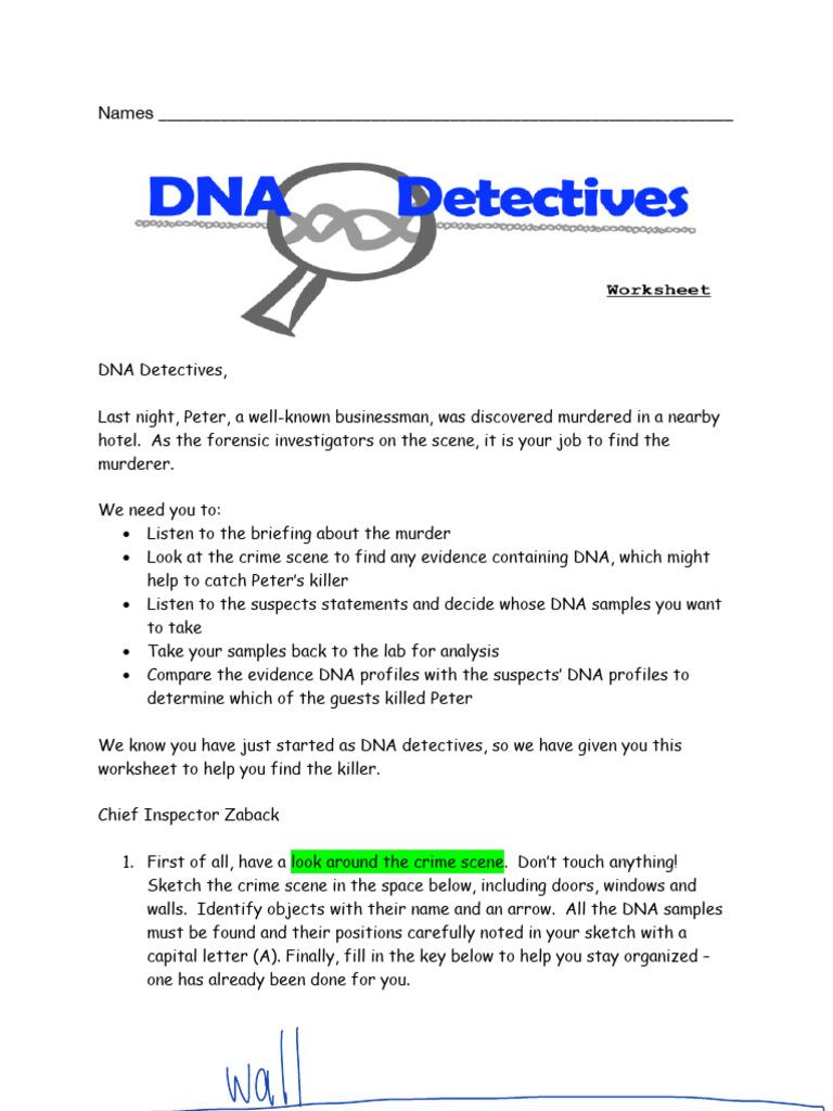 DNA Detectives Notebook | PDF | Dna Profiling | Crime Scene