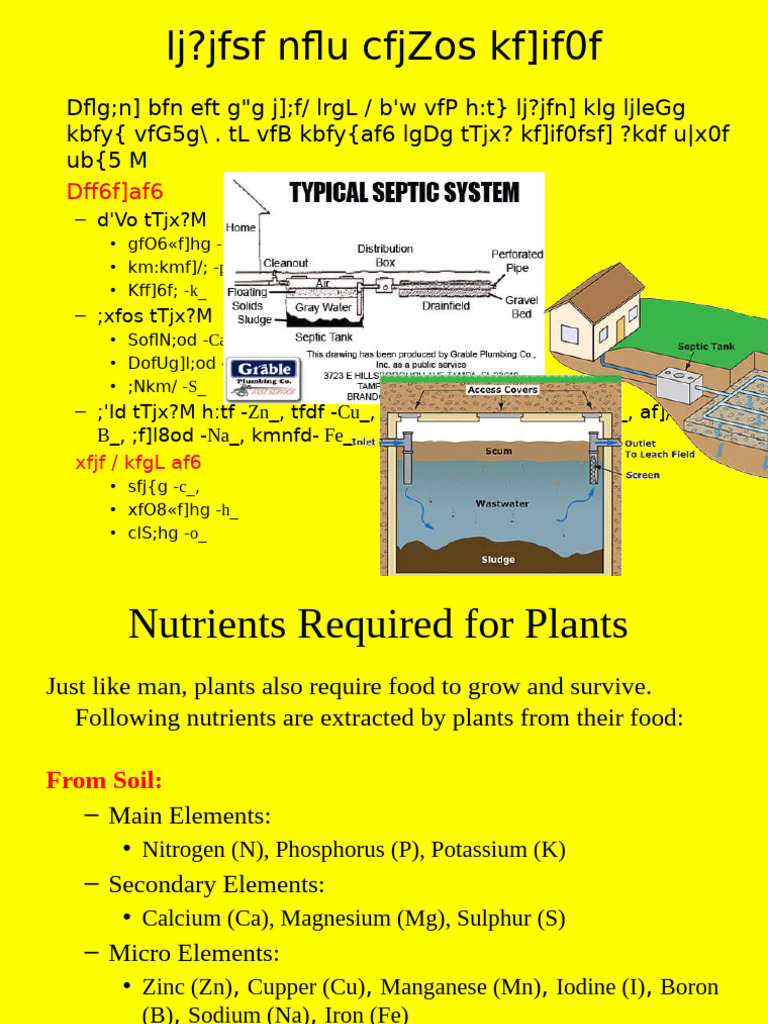 Essential Nutrients for Plant Growth | PDF