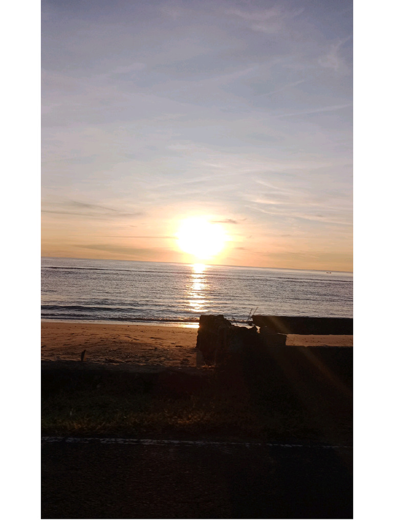 PDFGallery 20250226 124230 | PDF