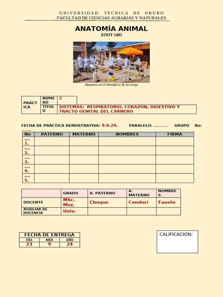 1405 MODELO Por Sistemas OVJ 9.9.24 | PDF | Anatomía