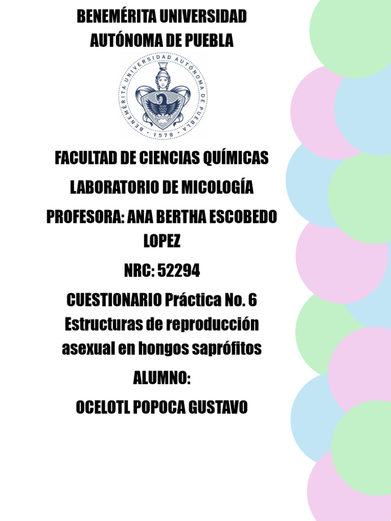 Cuestionario 6 Mico | PDF