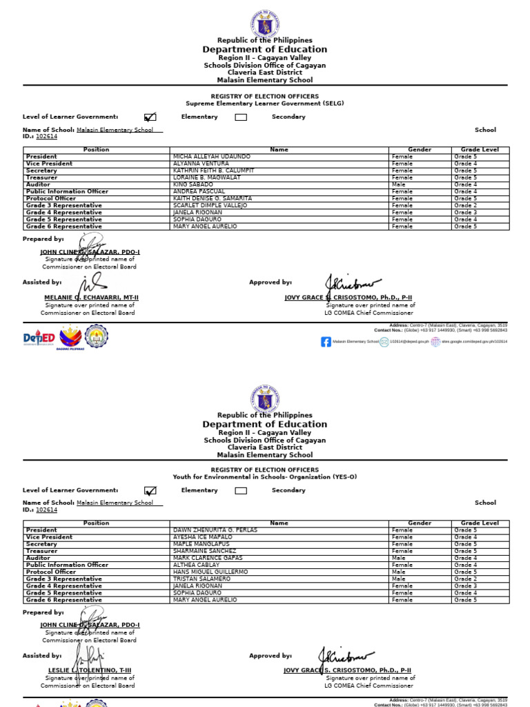Malasin Elementary Election Officers | PDF