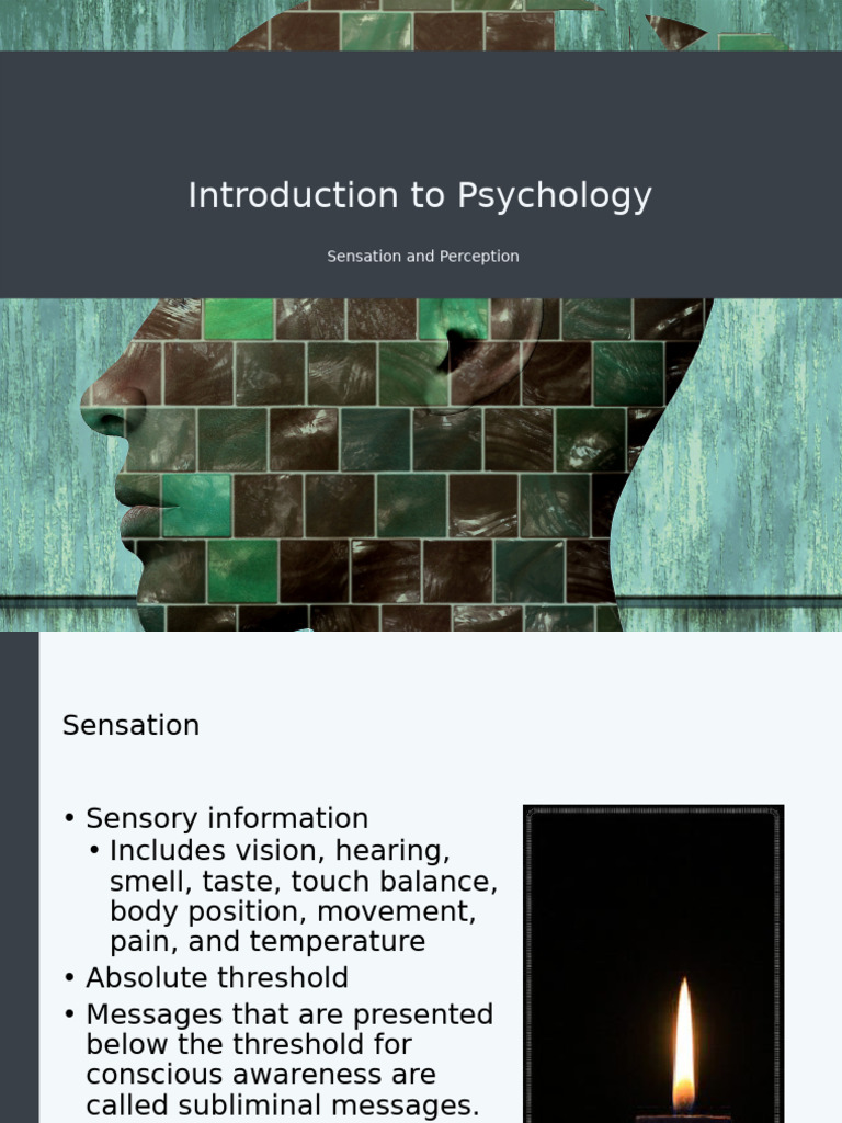 Sensation and Perception in Psychology | PDF | Perception | Senses