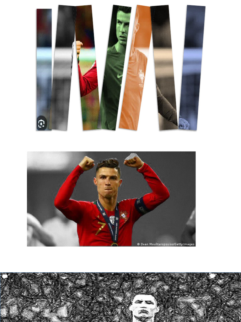 PRESENTACION POWER POINT DEL BICHO | PDF