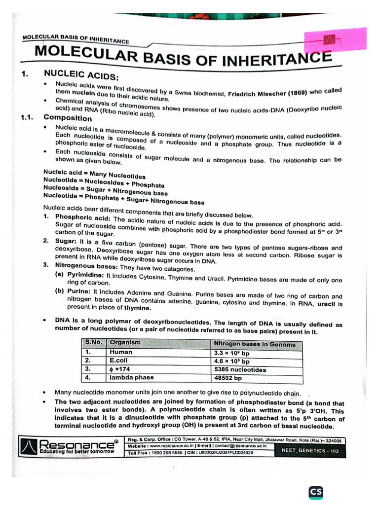Molecular Eson | PDF