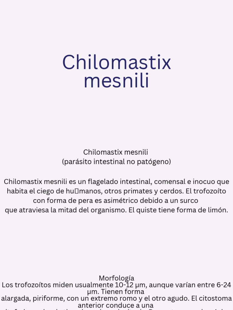Chilomastix Mesnili | PDF | Heces | Biología