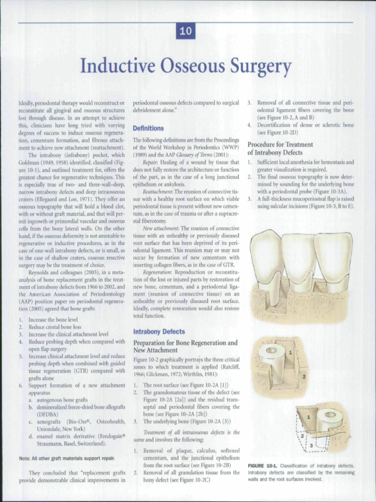 10. Inductive Osseous Surgery | PDF | Periodontology | Bone