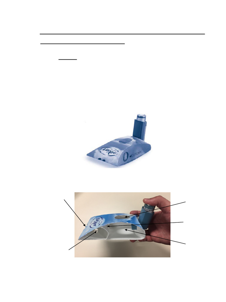 Liteaire Mdi Holding Chamber | PDF | Medical Treatments | Health Care