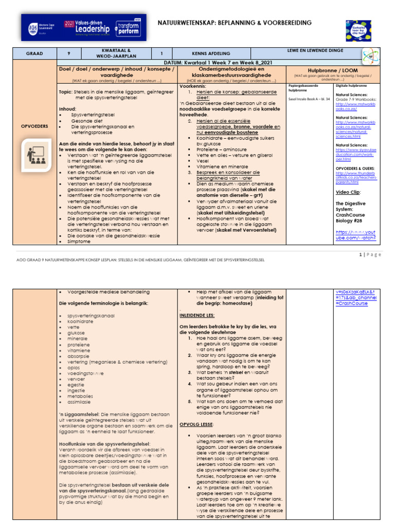 Lesplan - 2 Gr. 9 Natuurwetenskappe K1 W7 & W8 | PDF