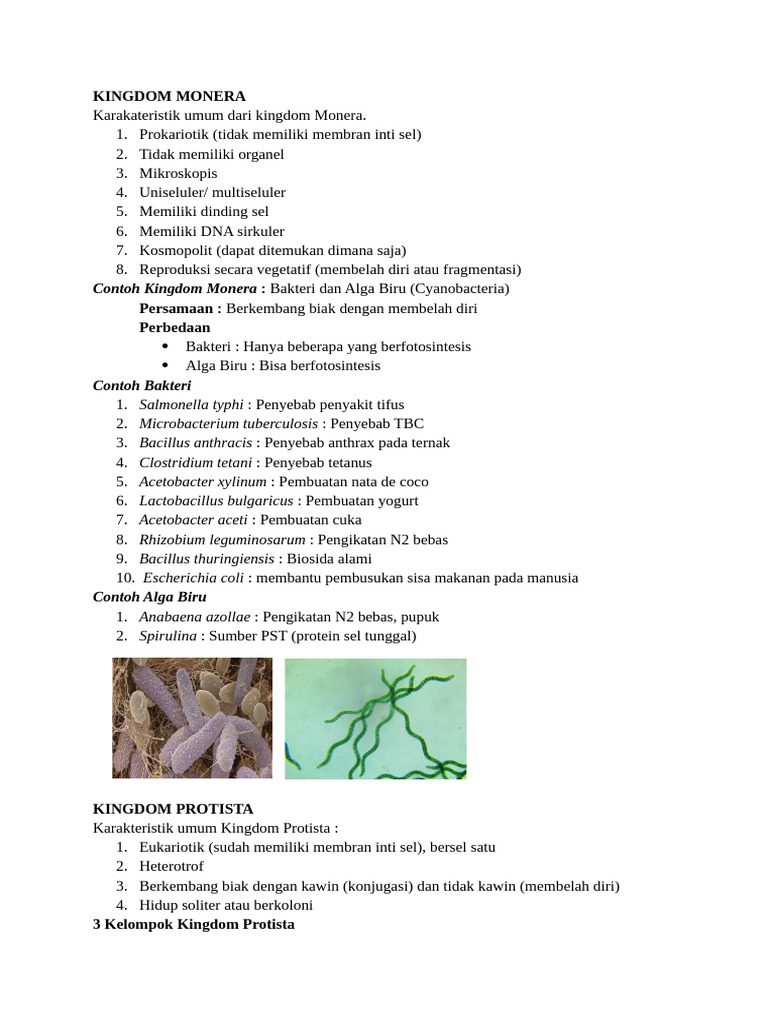 Karakteristik dan Contoh Monera & Protista | PDF