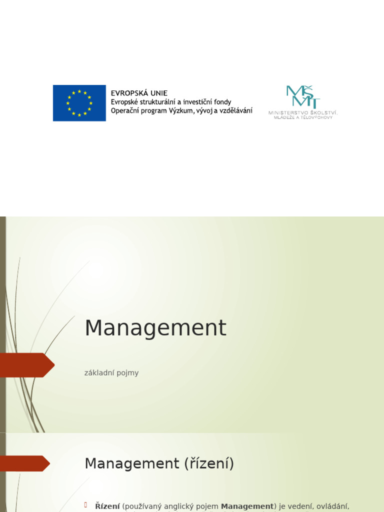 Prezentace Management | PDF
