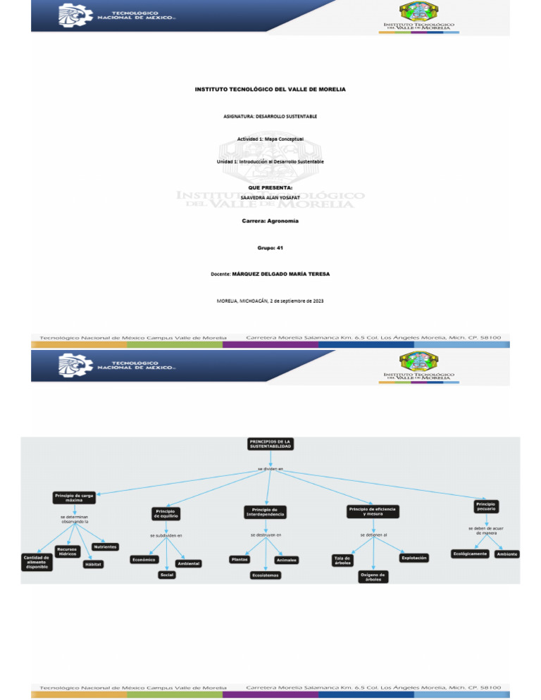 Act1 - Mapa Conceptual - Agronomía - 51 | PDF
