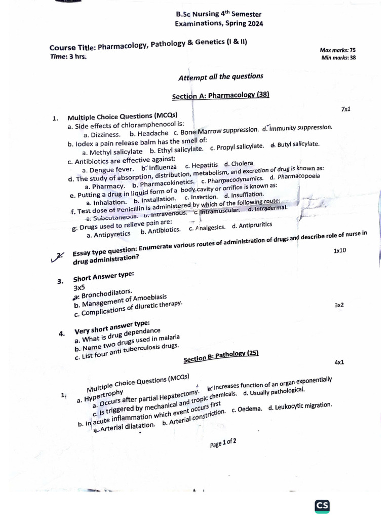 Iust PPG Dec 2024 | PDF