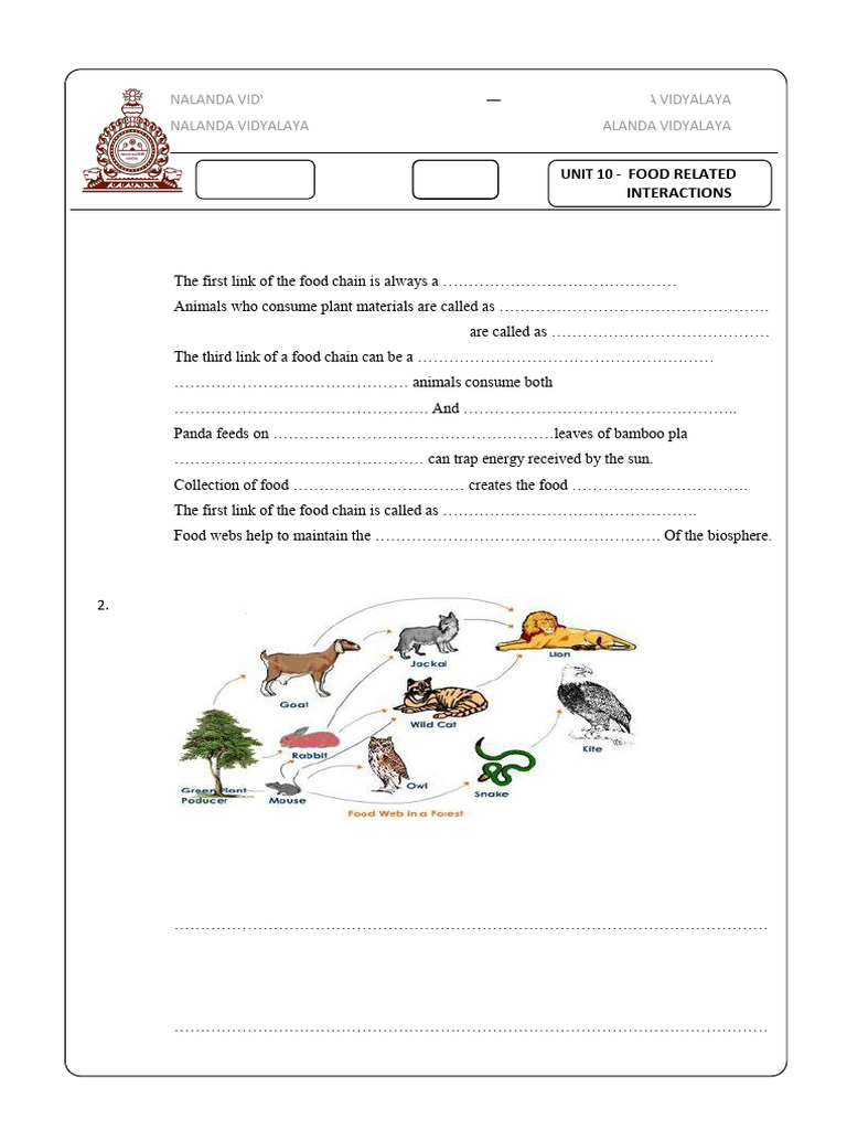 Food Chain and Ecosystem Interactions | PDF | Foods | Food Web