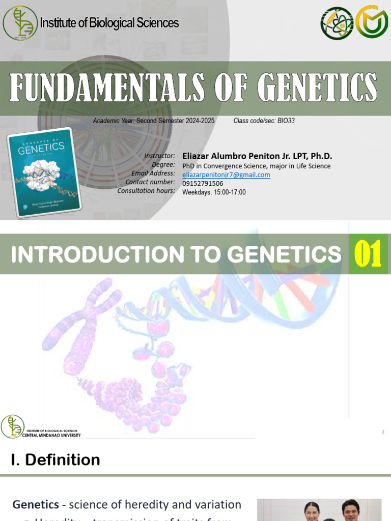 Introduction to Genetics Overview | PDF | Genetics | Rice