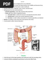 Anatomy of Appendix and Colon Explained | PDF | Large Intestine | Anatomy