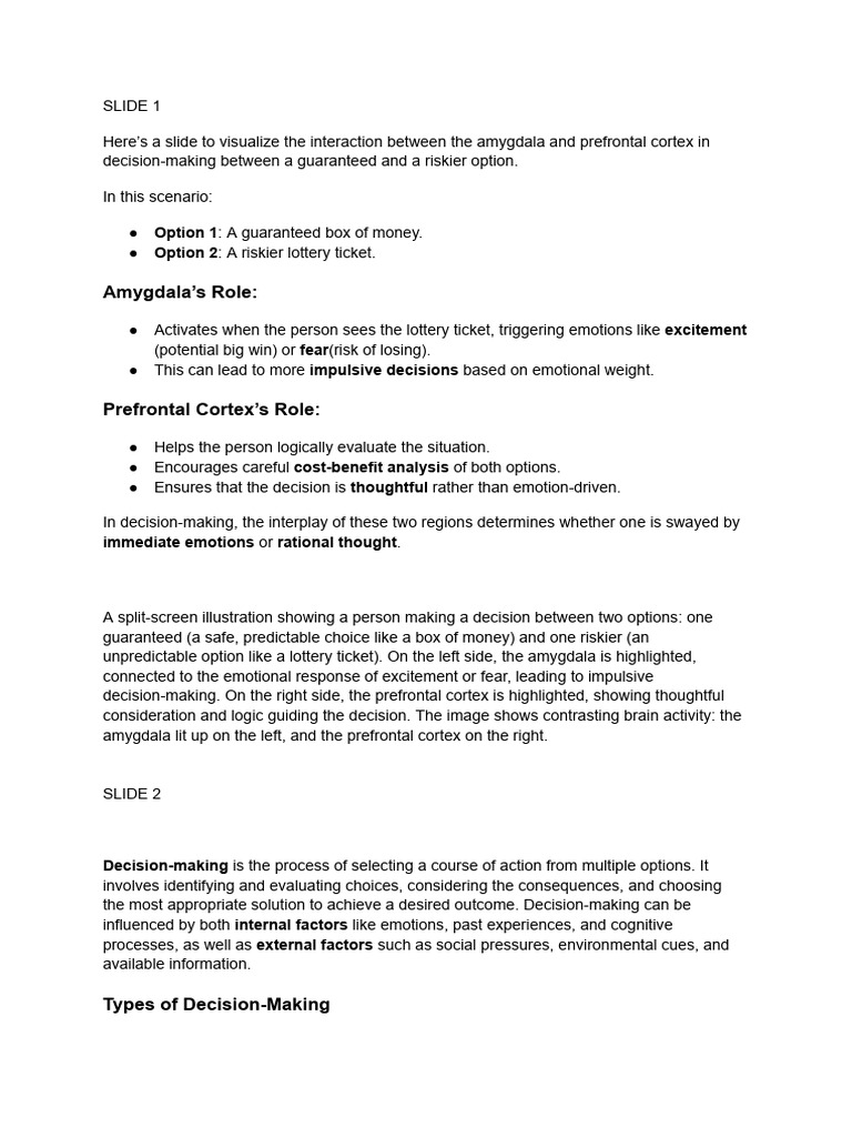 Bio Psych | PDF | Decision Making | Brainstem