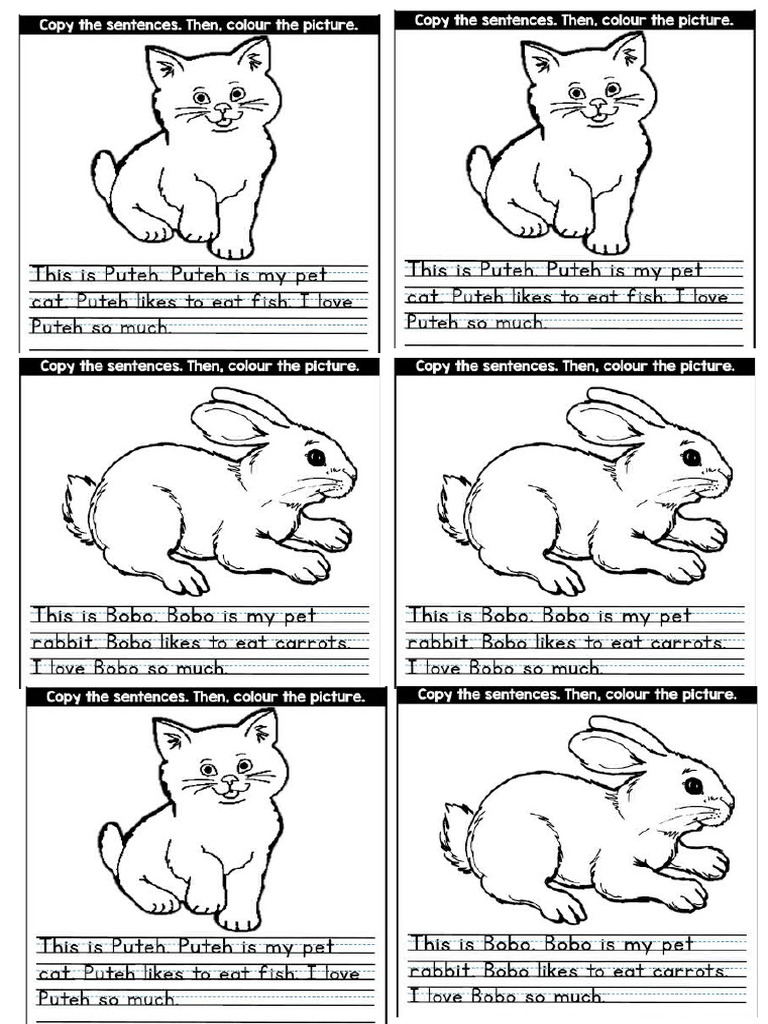 Essay My Pet | PDF