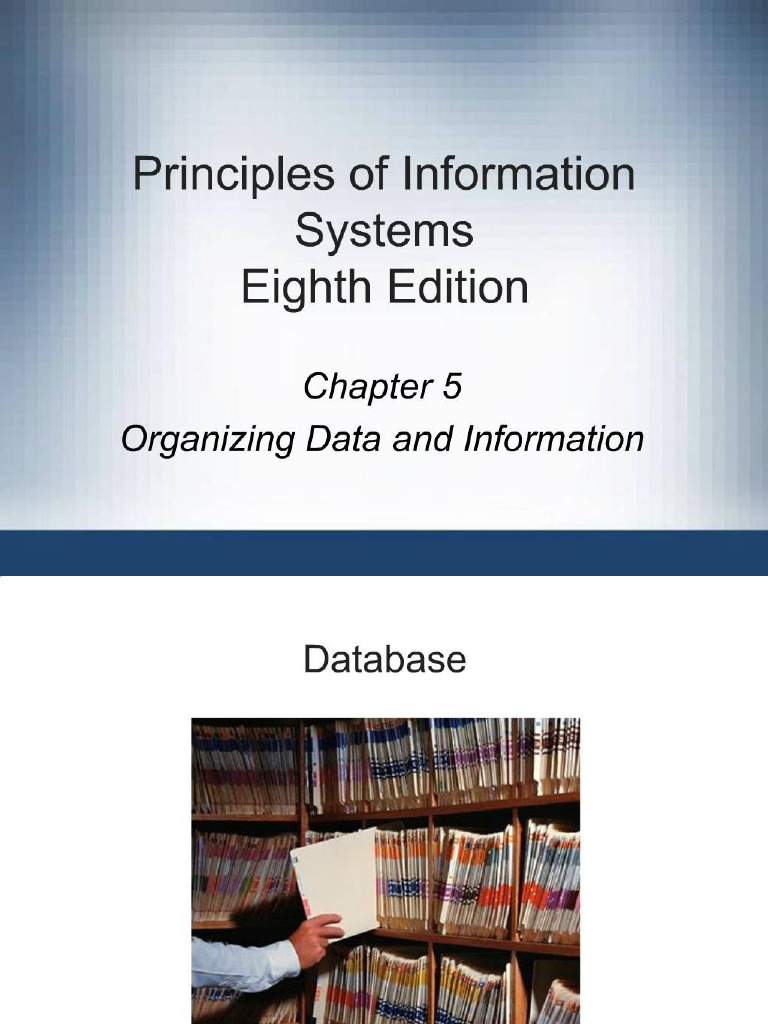 Information System | PDF