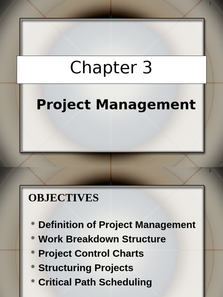 Project Management Essentials | PDF | Project Management | Business
