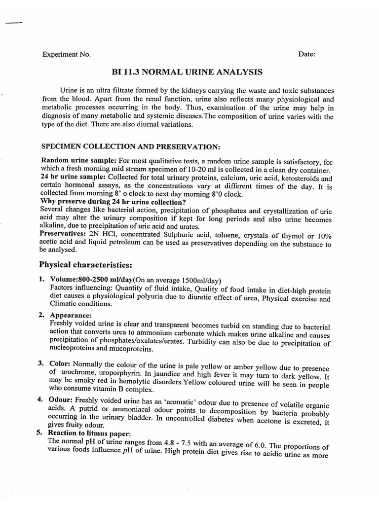 normal urine anaylisis | PDF