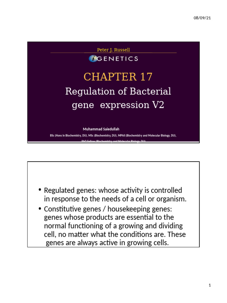 Reg Bact Gene Expression | PDF | Operon | Repressor