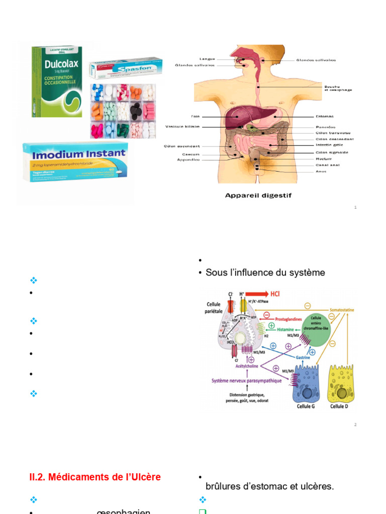Chapitre Deuxieme Medicaments Du Systeme Digestif | PDF | Estomac ...
