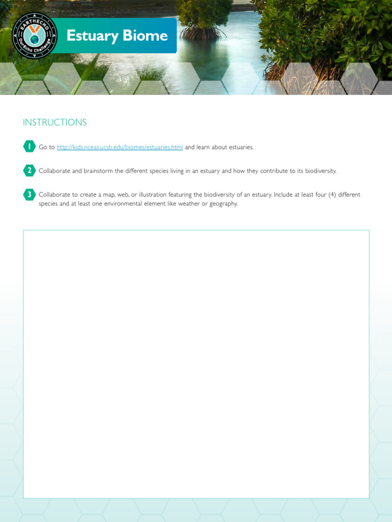 _Handout_Estuary | PDF