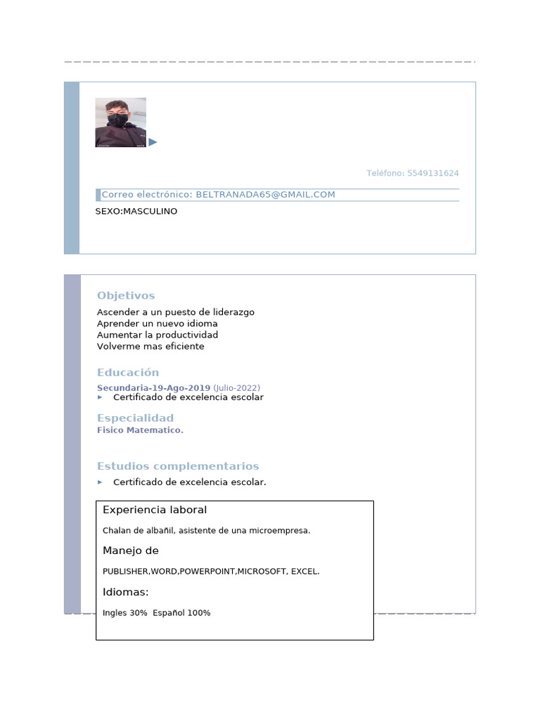 Perfil Profesional de Adan Beltrán | PDF