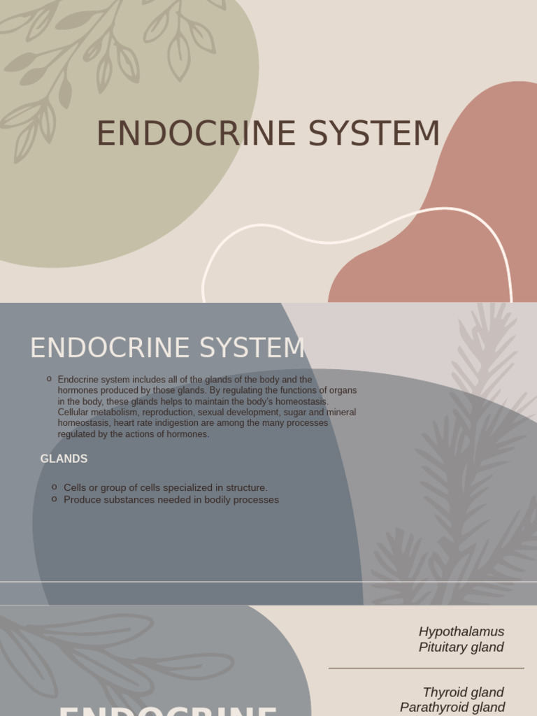 Overview of the Endocrine System | PDF | Adrenal Gland | Pancreas