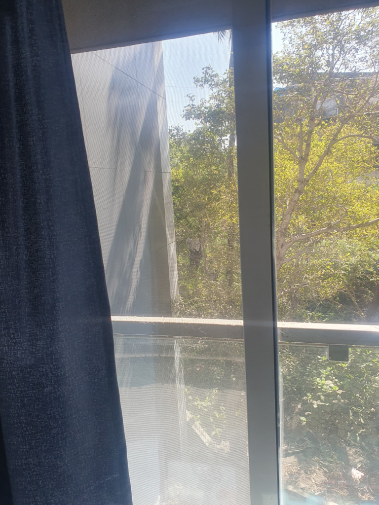 f213e7a6-c093-496d-bf68-ccba4b9de60c | PDF