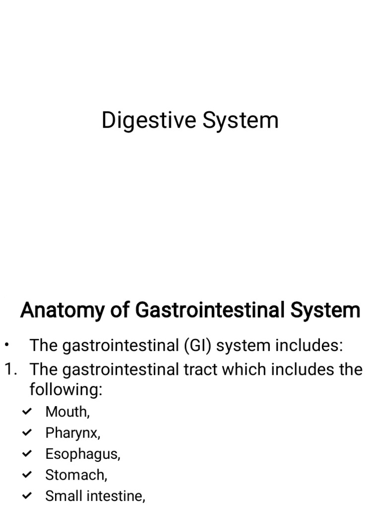 Anatomy and Functions of the GI System | PDF | Human Digestive System ...