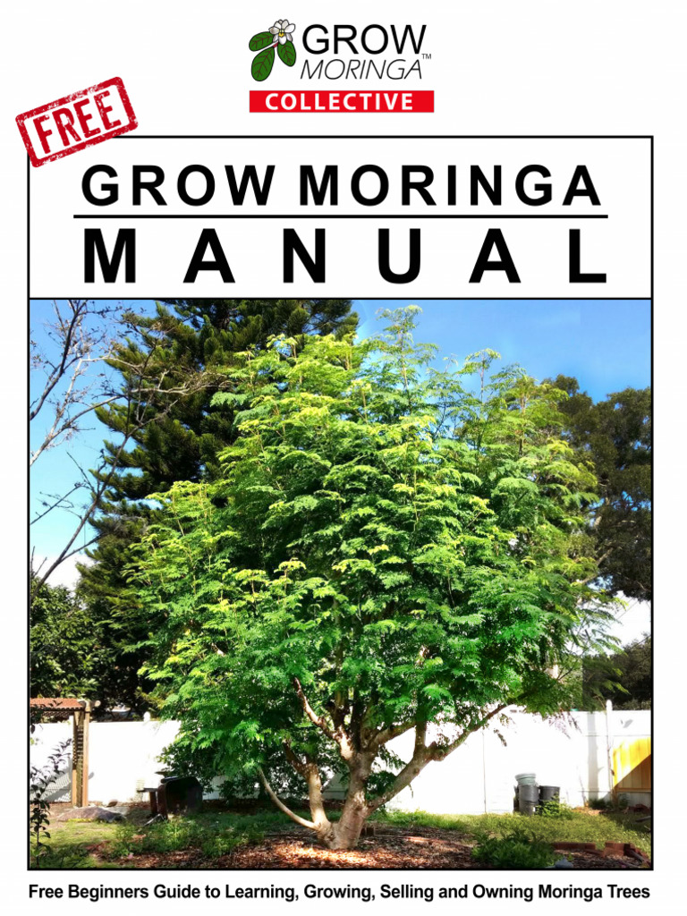 Free Grow Moringa Manual | PDF