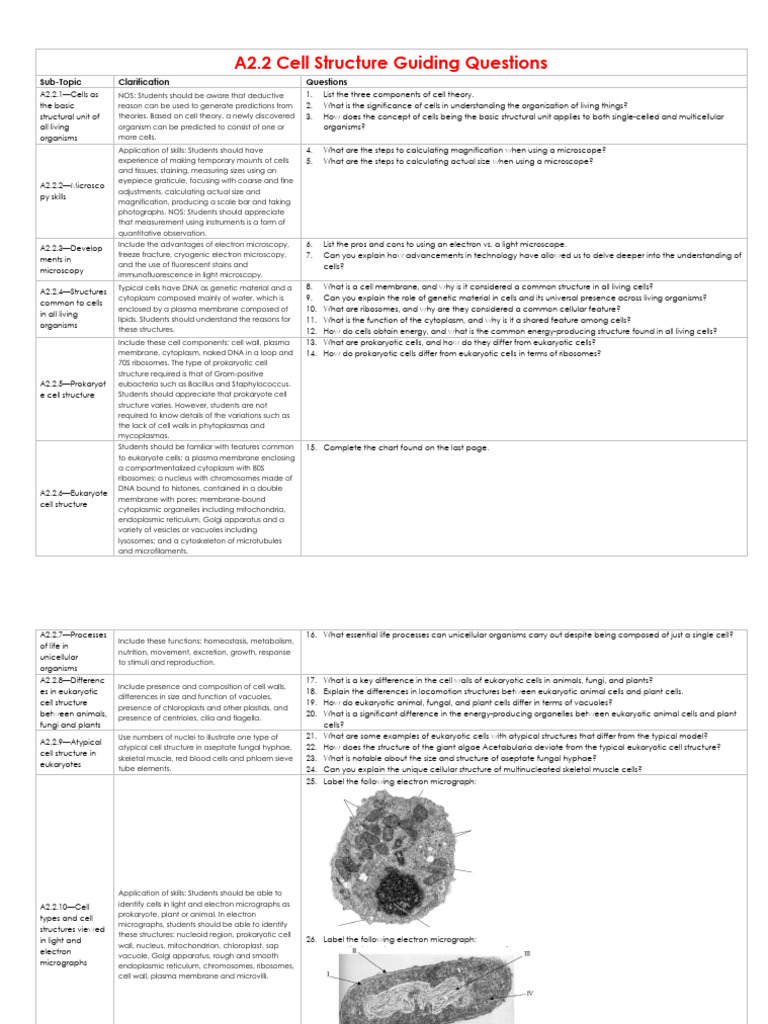 A2.2 Cell Structure Guiding Questions With Key | PDF | Cell (Biology ...