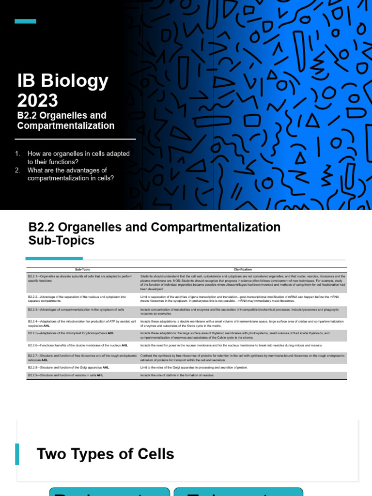 Cell Organelles & Compartmentalization | PDF | Endoplasmic Reticulum ...