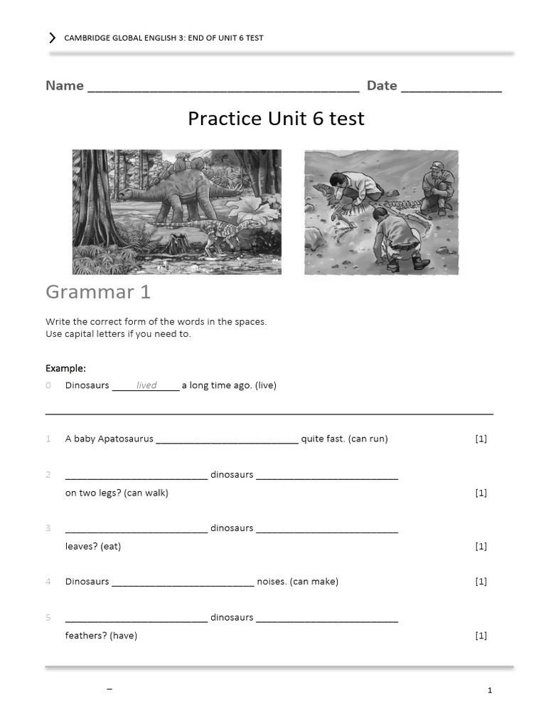 Unit 6, Practice Test, 1b | PDF