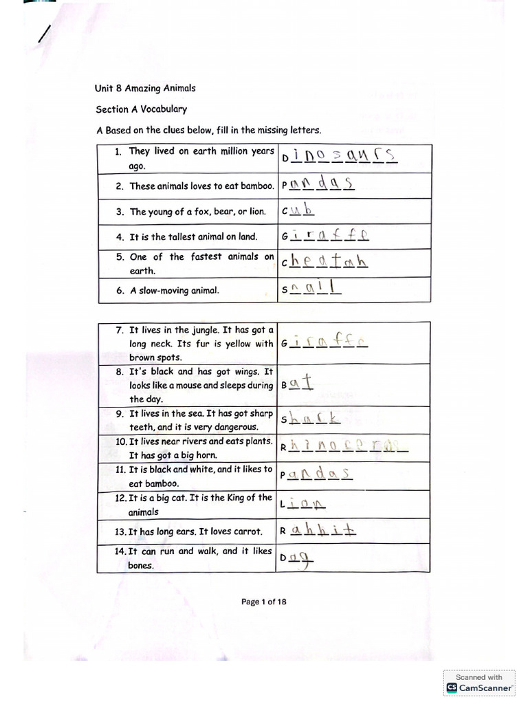 Year 4 Vocabulary Exercise | PDF