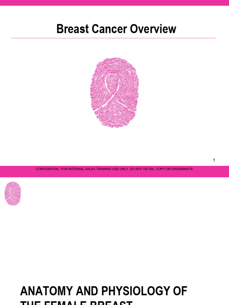 20240708. Breast Cancer Overview | PDF | Breast Cancer | Mastectomy