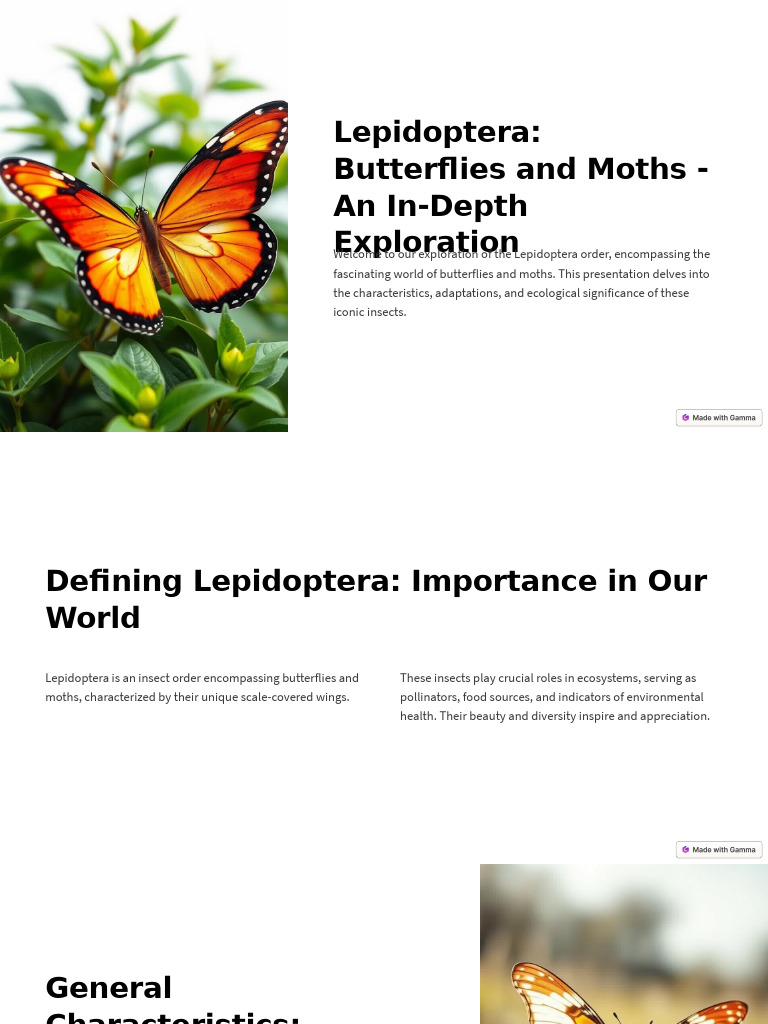 Lepidoptera Butterflies and Moths An in Depth Exploration | PDF | Lepidoptera | Butterfly