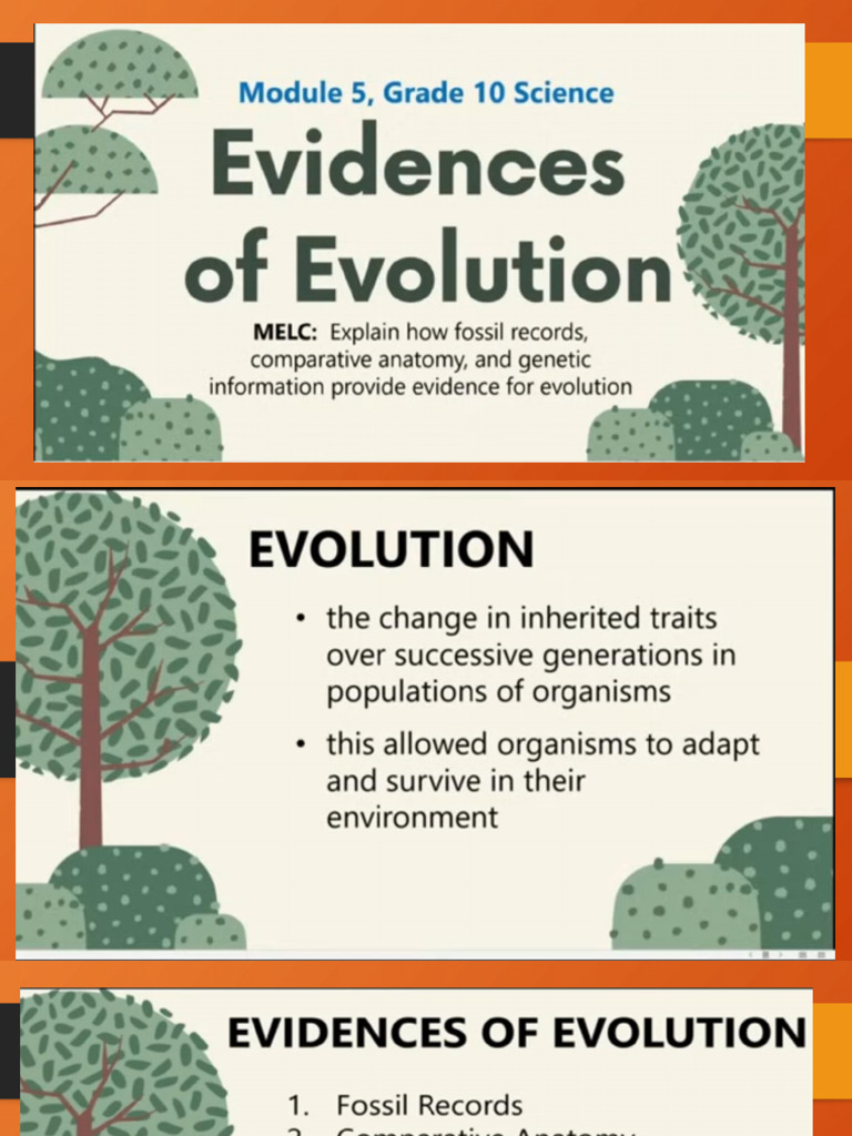 Evolution of Evidences (SCIENCE 3RD QUARTER) | PDF